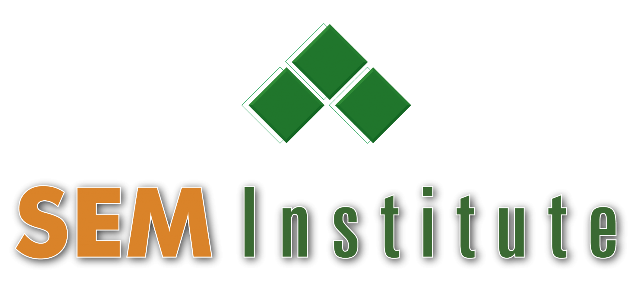 Portofolio - SEM Institute